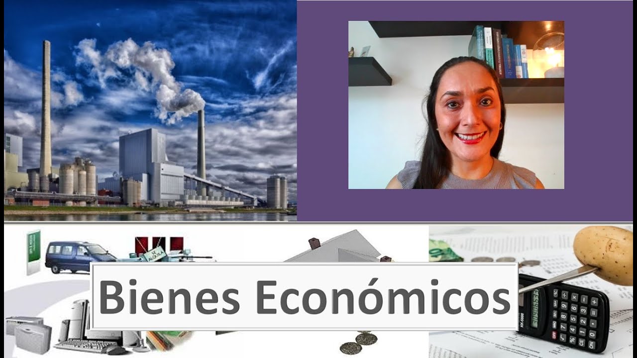 Descubre ejemplos de bienes económicos que te sorprenderán | BenjaeLobo.es