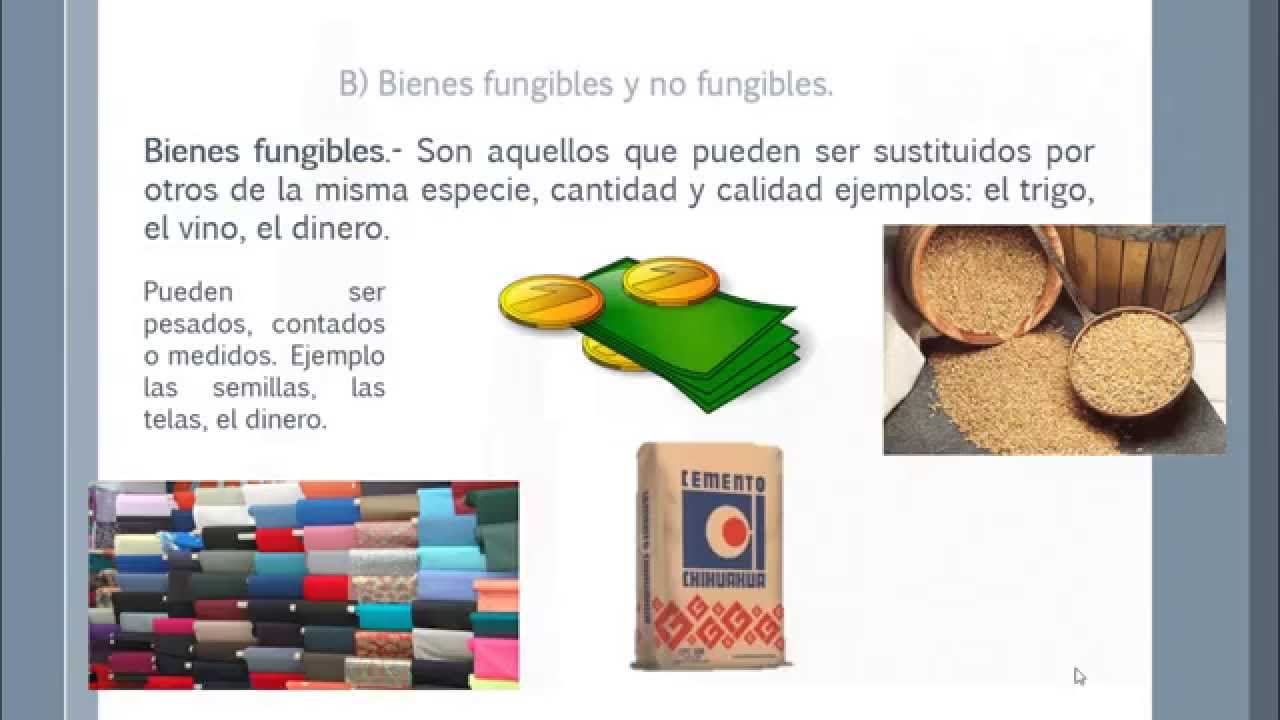 Clasificación de los bienes: Guía completa para entender su ...